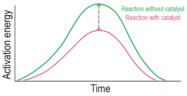 catalyst - Mammoth Memory definition - remember meaning